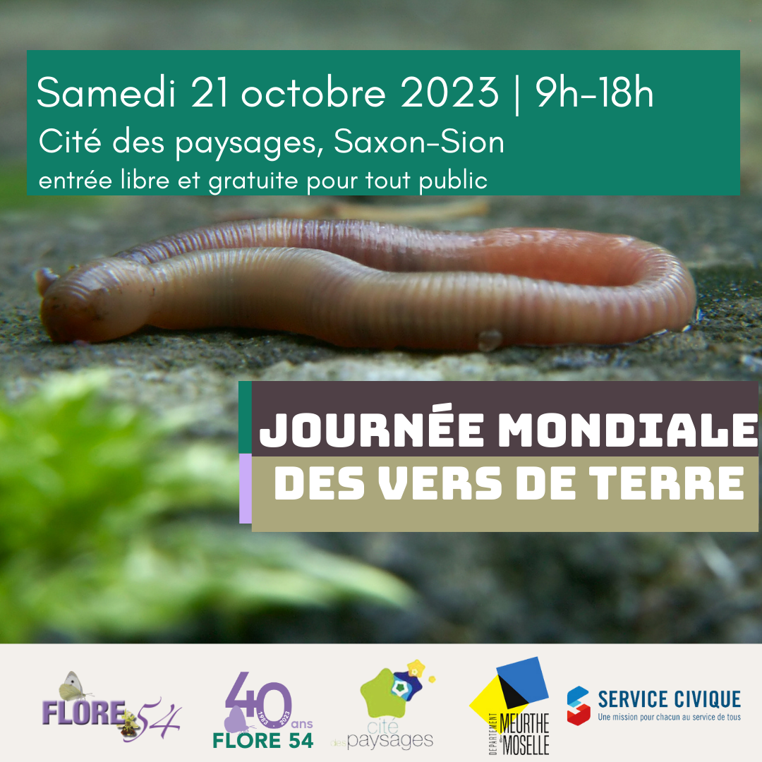 Journée mondiale des vers de terre 🪱 | FLORE 54